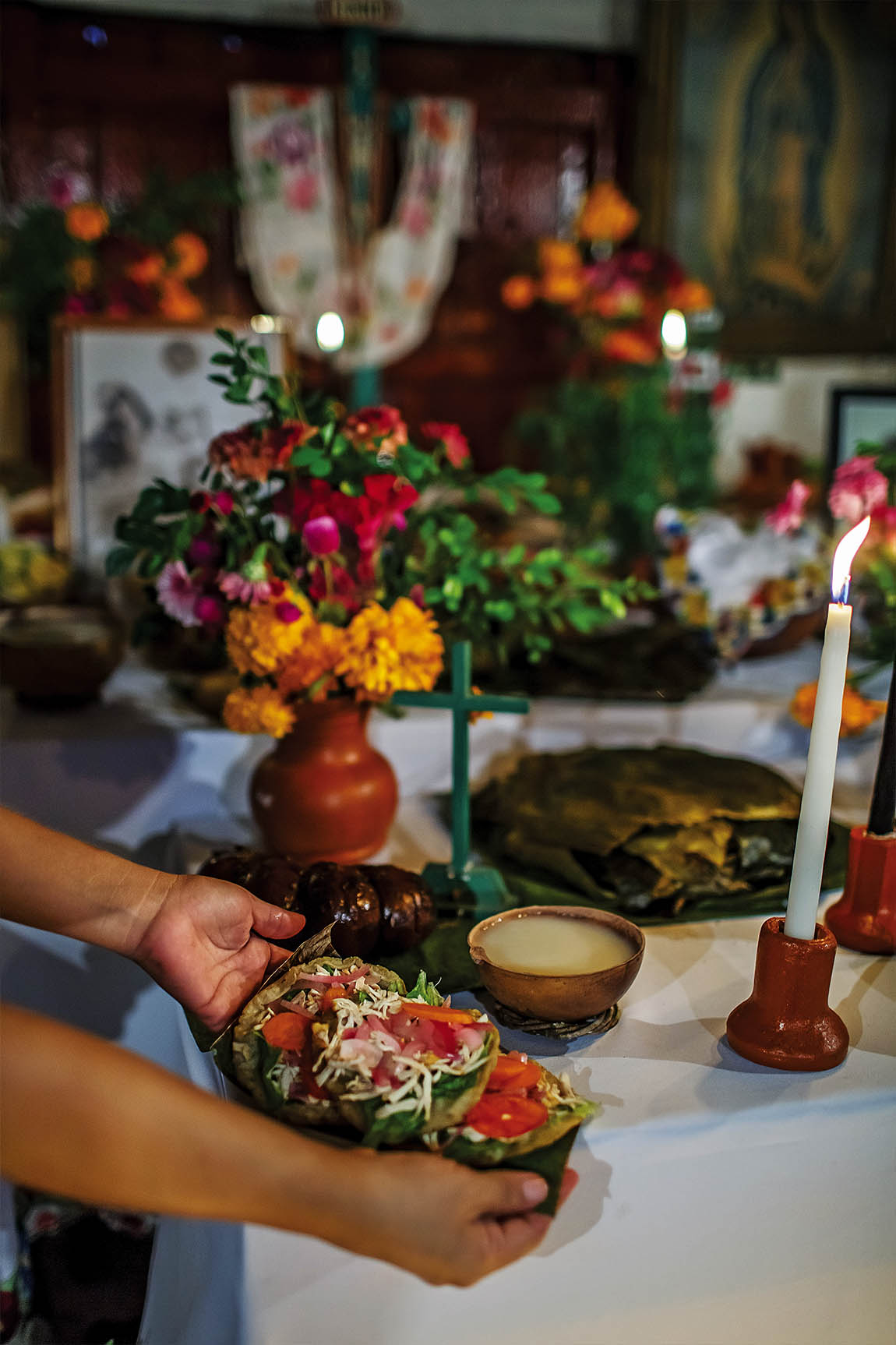 The Landscape and the Departed - Revista Landuum