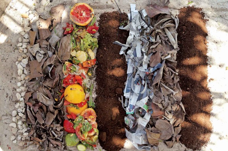 Composta: Creando tierra fértil - Revista Landuum