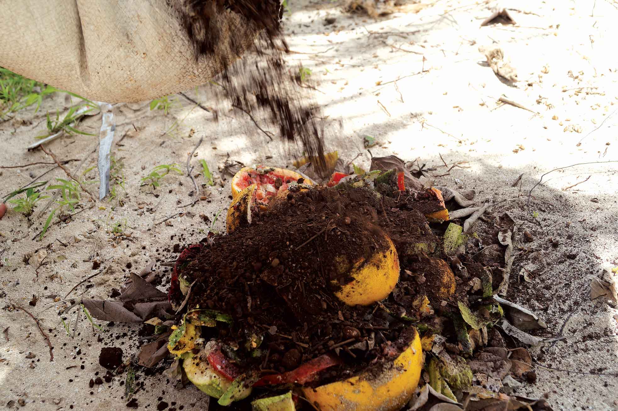 Composta: Creando tierra fértil - Revista Landuum