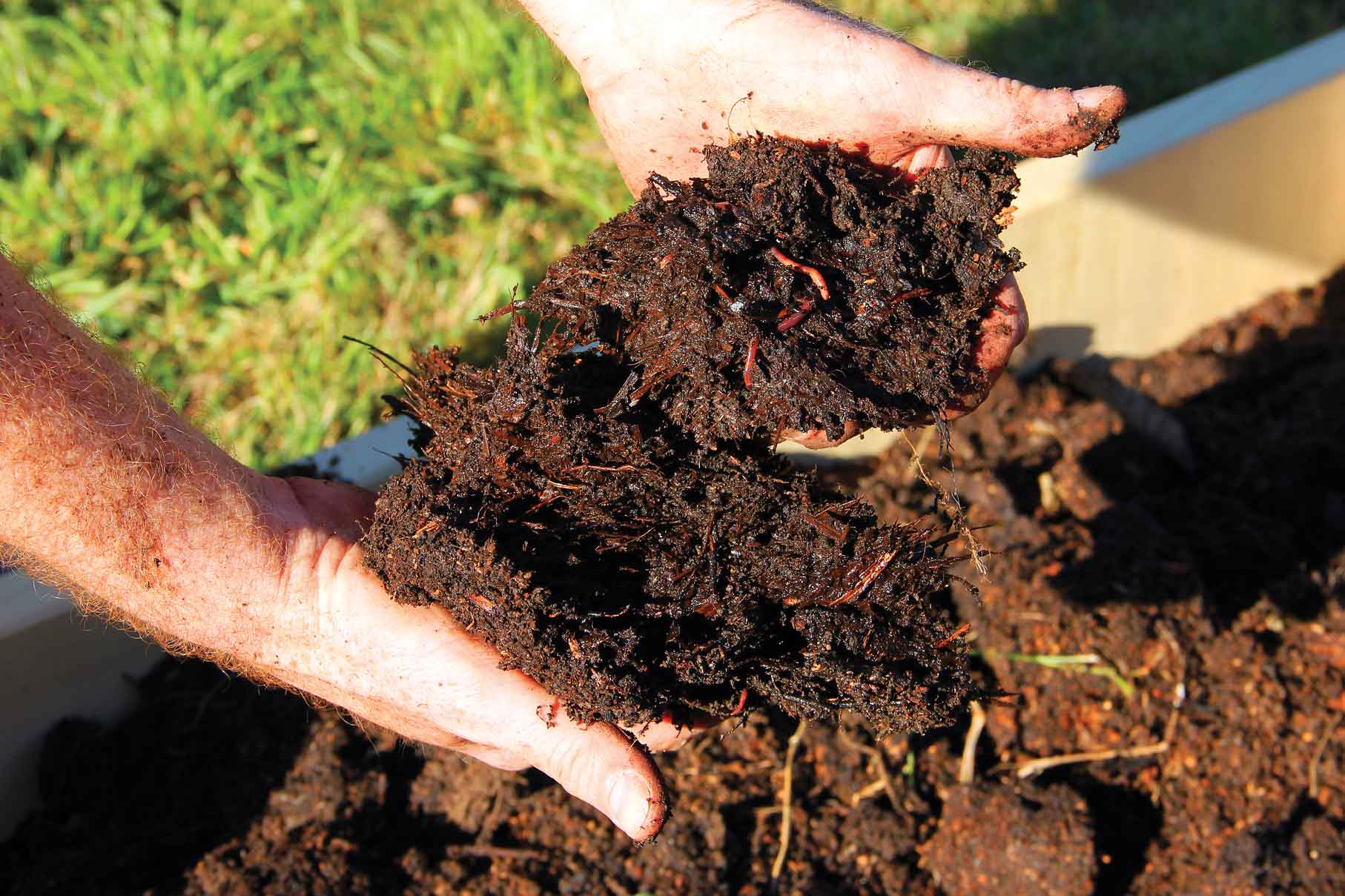 Compost: Creating fertile soil - Revista Landuum