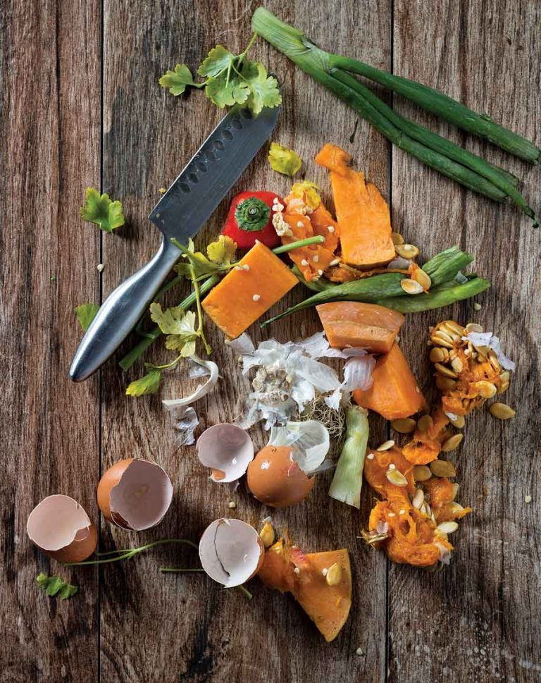 Composta: Creando tierra fértil - Revista Landuum