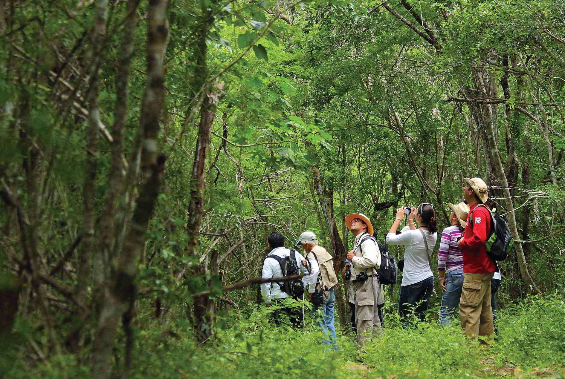 Reservas Ecológicas: lugares para la recreación – Revista Landuum