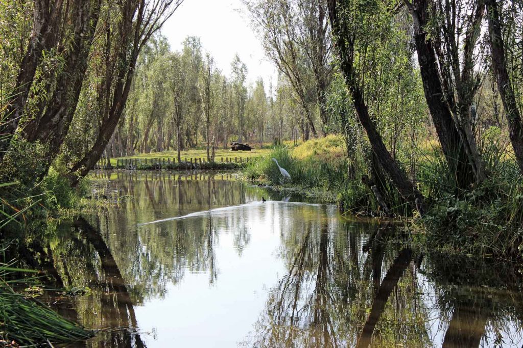 El méxico que emergió del agua - Revista Landuum