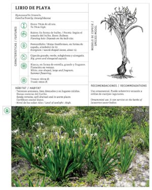 Enjoying the native plants of Yucatan coast - Revista Landuum