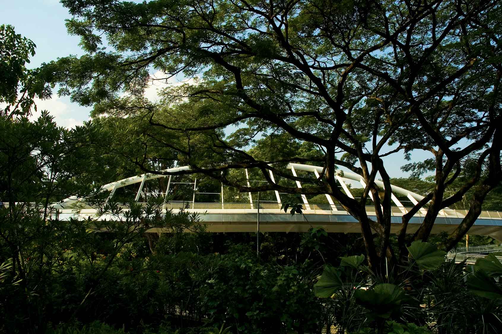 Alexandra Arch & Forest Walk - Revista Landuum