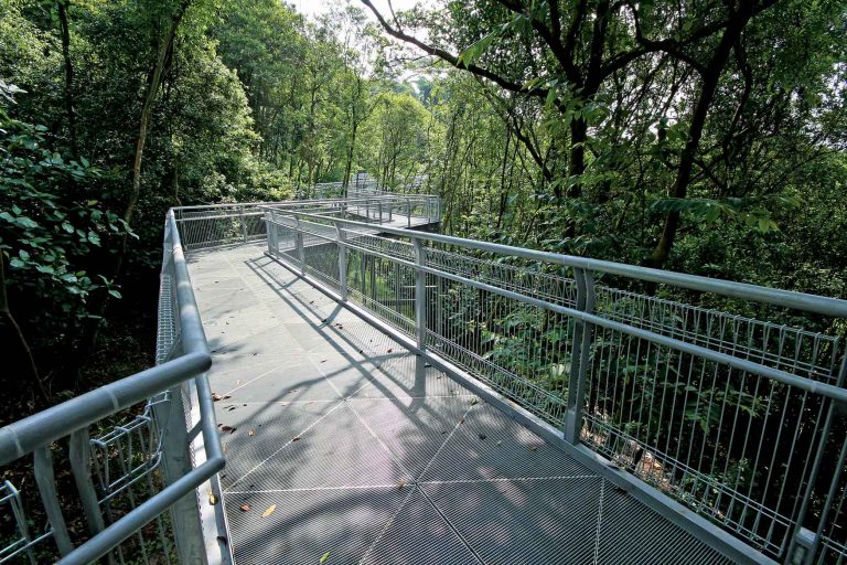 Alexandra Arch & Forest Walk - Revista Landuum