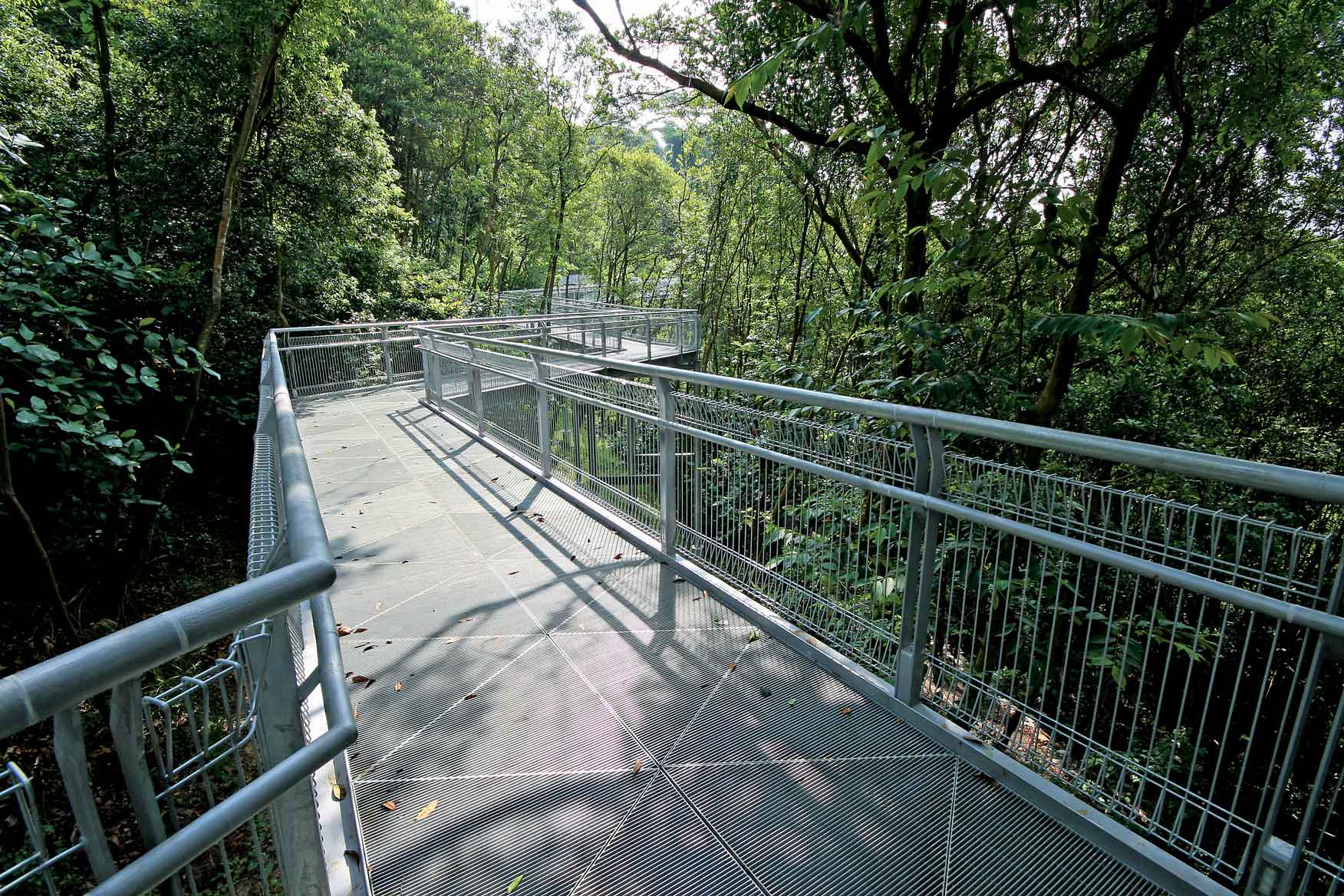 Alexandra Arch & Forest Walk - Revista Landuum