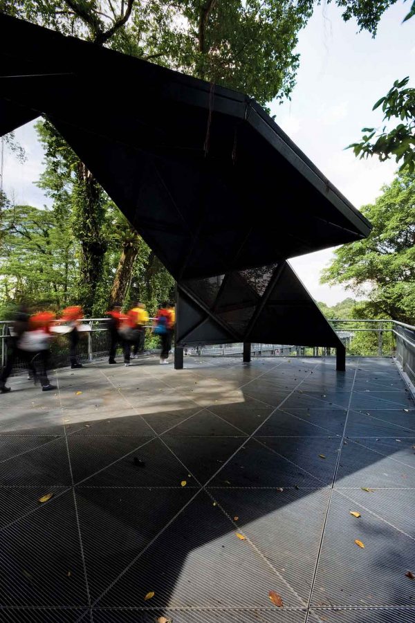 Alexandra Arch & Forest Walk - Revista Landuum