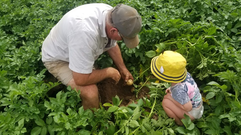 Pedagogical farms: reflection spaces for the ecological transition ...