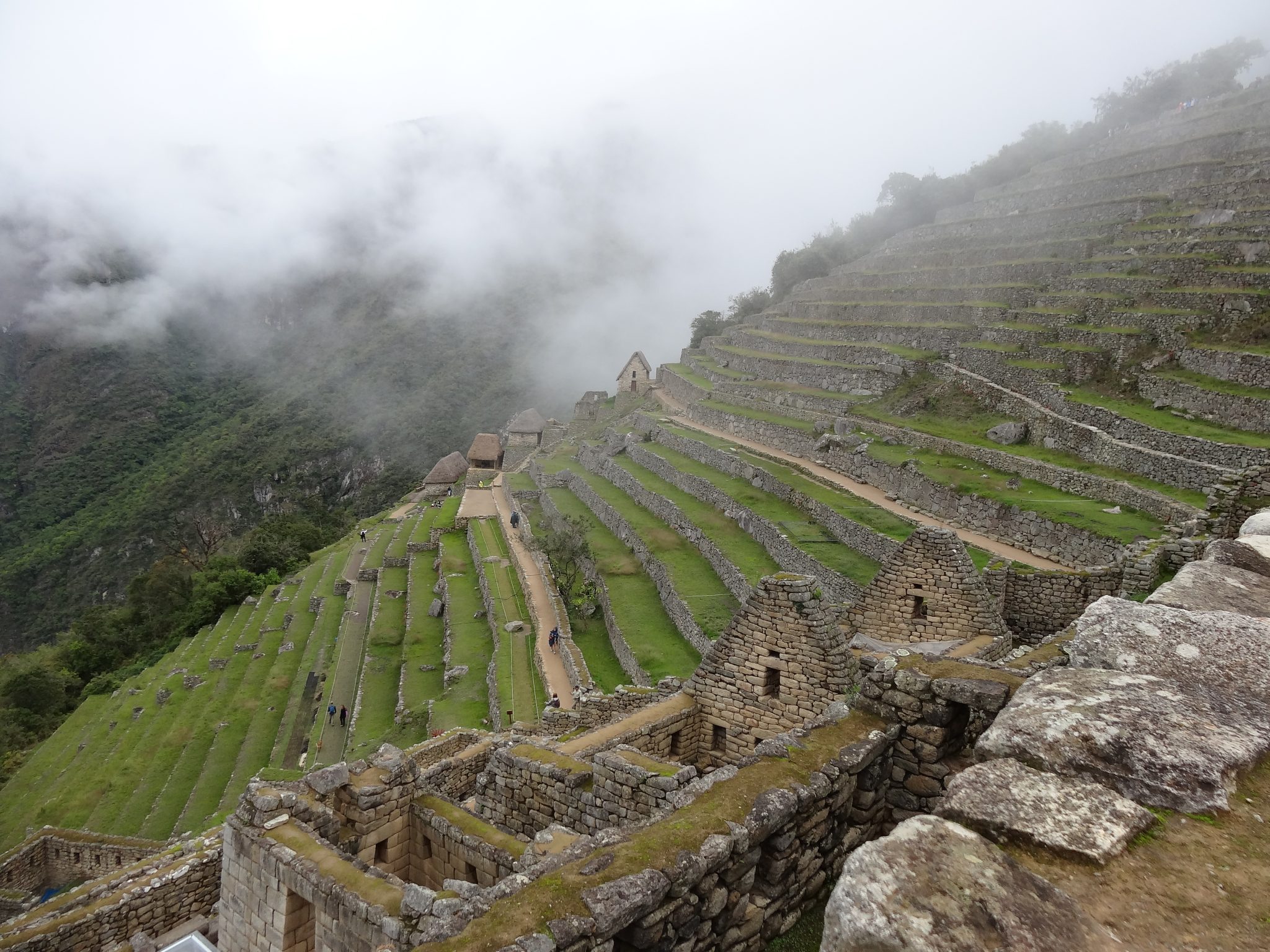 Las Terrazas de Cultivo: Una tradición ante los retos del cambio ...