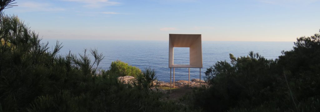 Pioneer Sand Dunes Plants - Revista Landuum