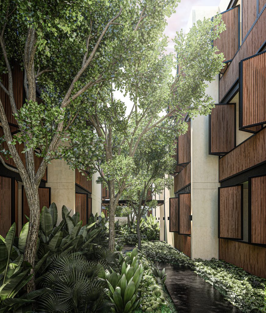 El Bambú y sus Propiedades - Revista Landuum