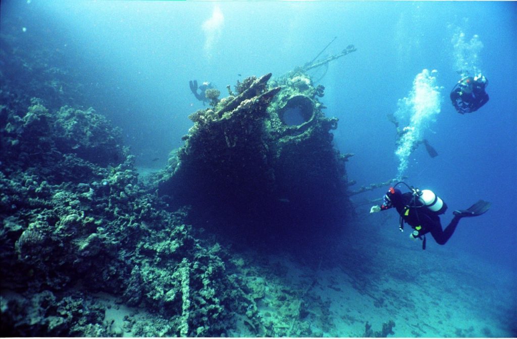 Creating an ecosystem with artificial reefs - Revista Landuum