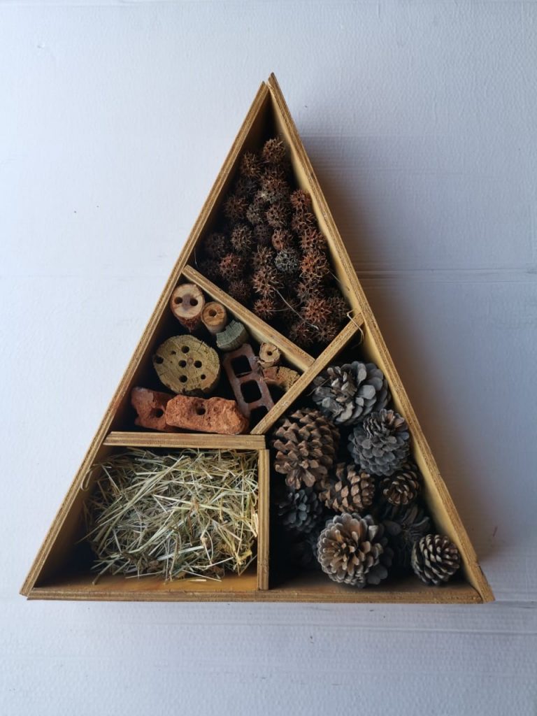 HOTELES PARA INSECTOS - Revista Landuum