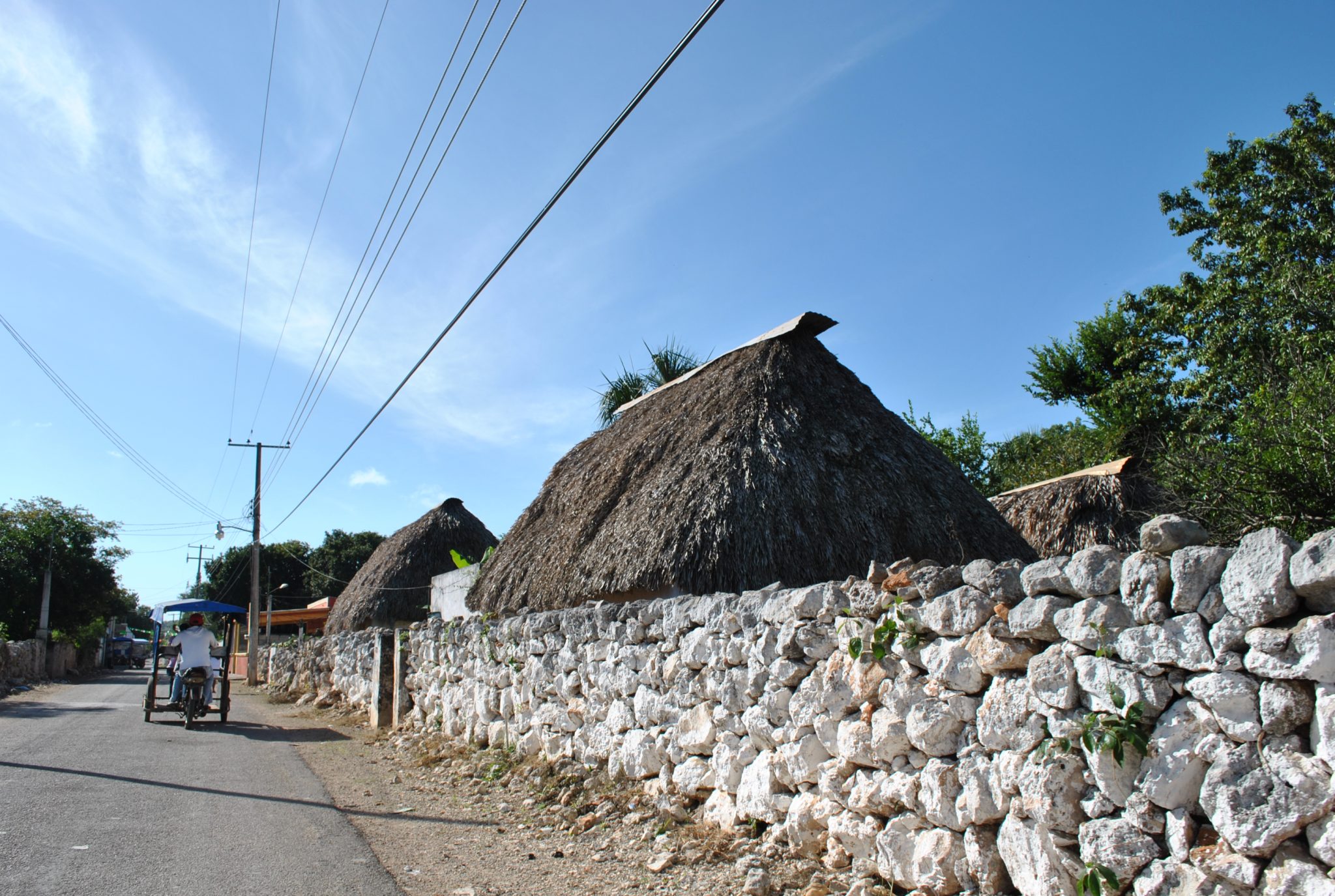 Territorios Sustentables: El solar maya como modo de vida - Revista Landuum