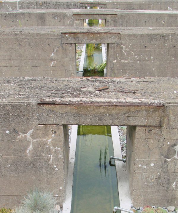 The identity challenges of the third landscape in Latin America ...