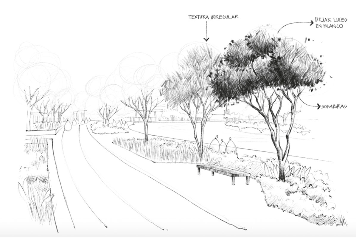 Shadows in landscape - Revista Landuum