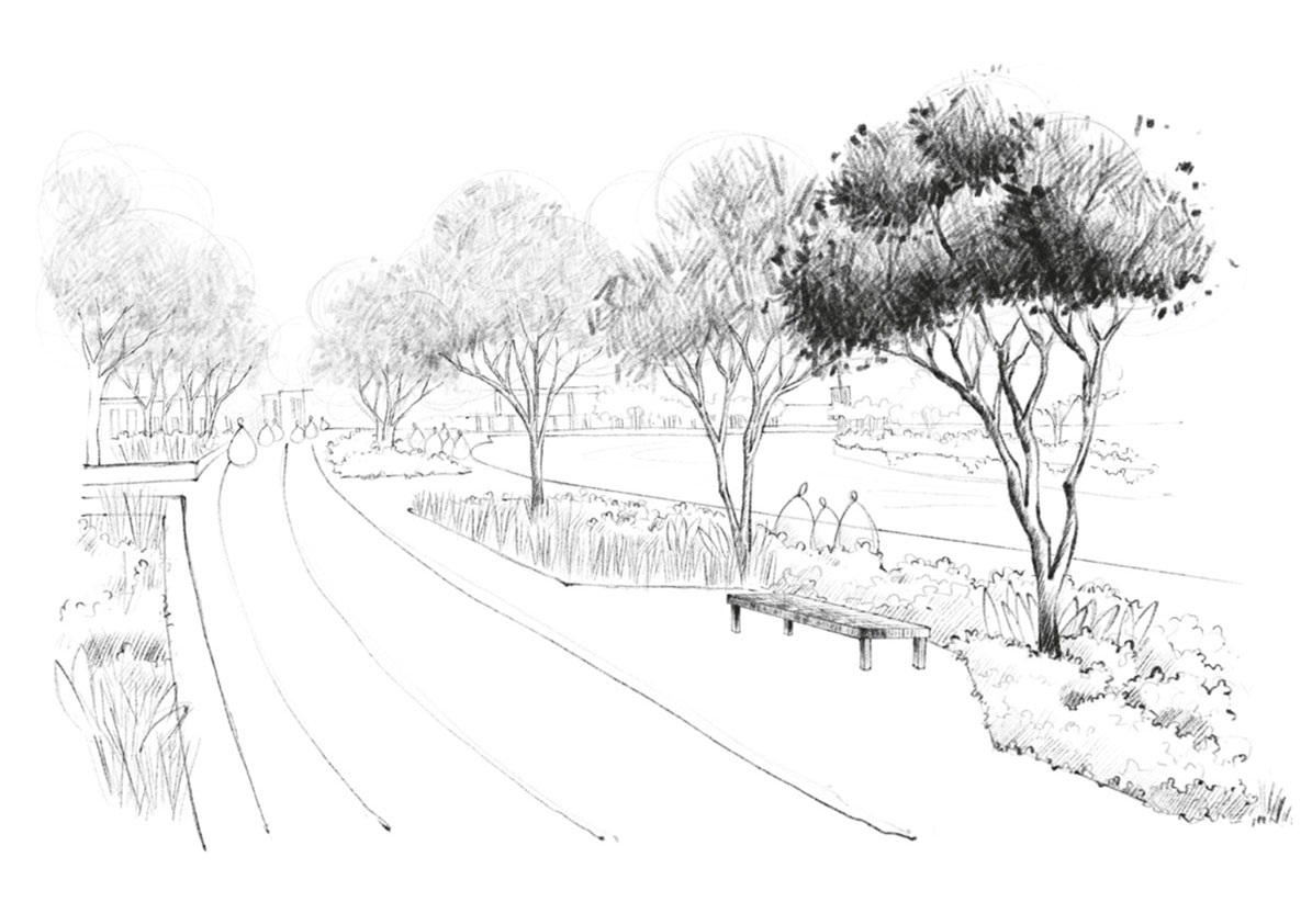 Shadows in landscape - Revista Landuum