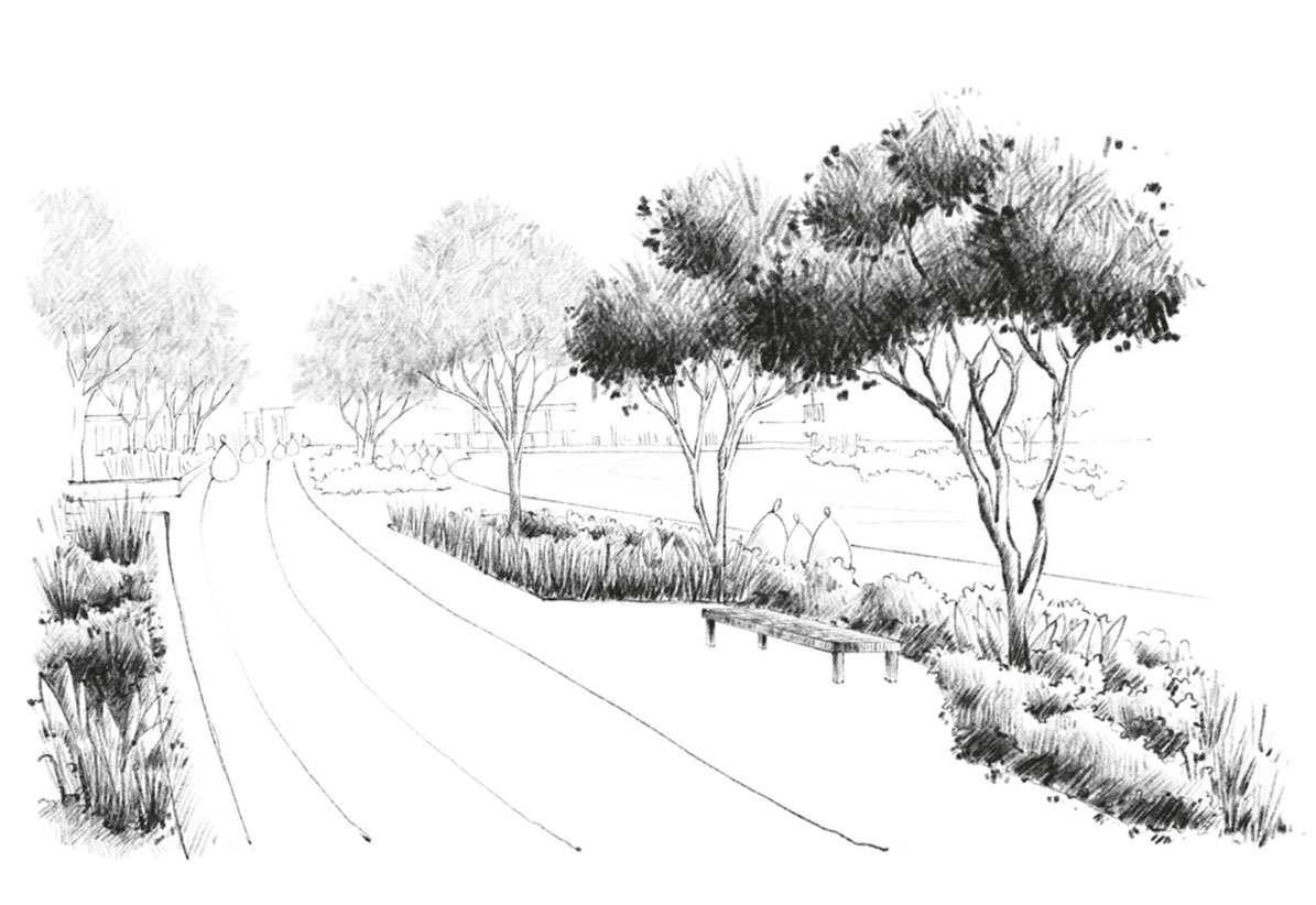 Shadows in landscape - Revista Landuum