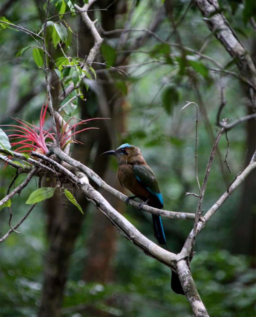 Environmental impact as a tool to minimize the effects of climate ...