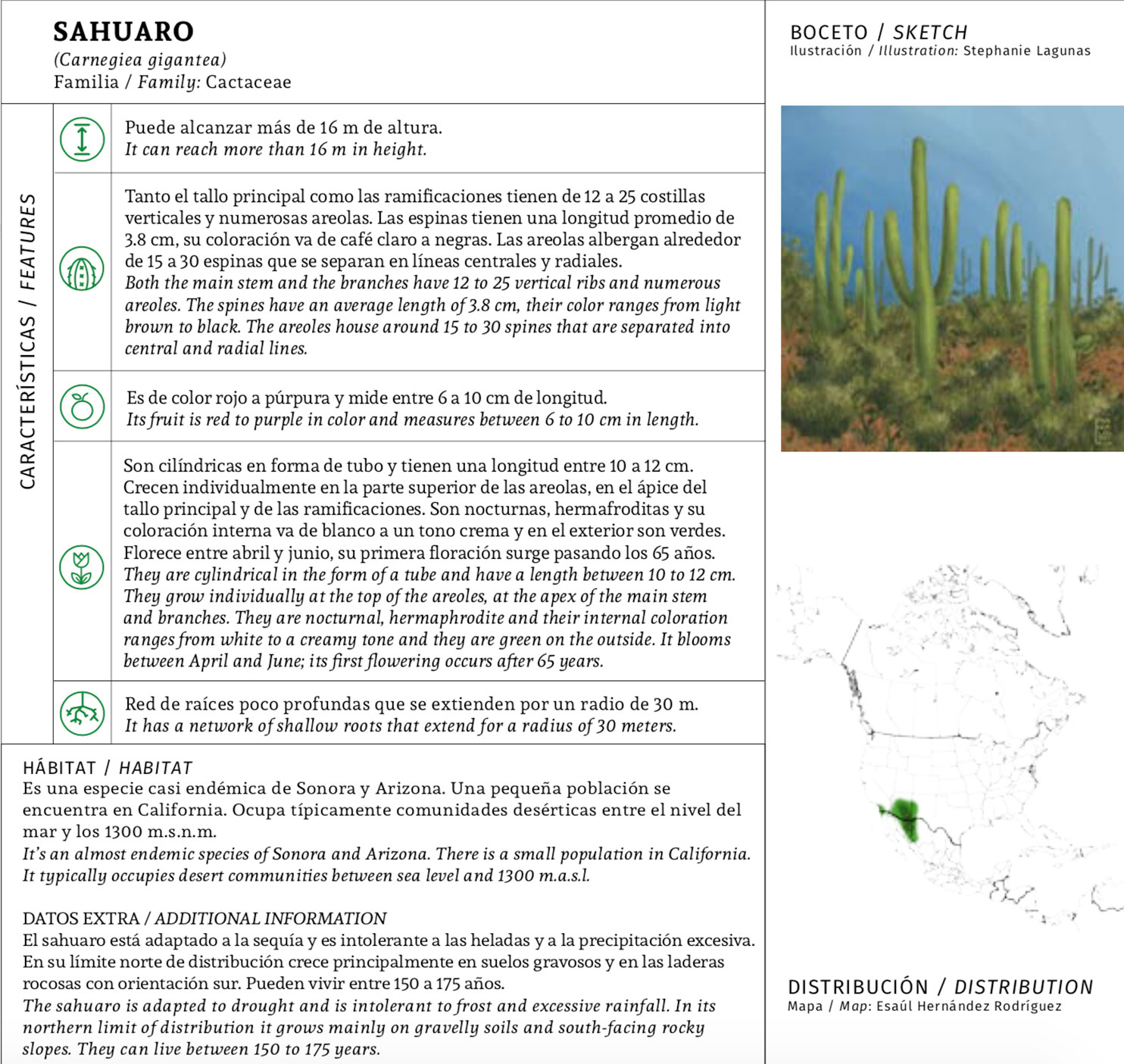 Sahuaro - Revista Landuum