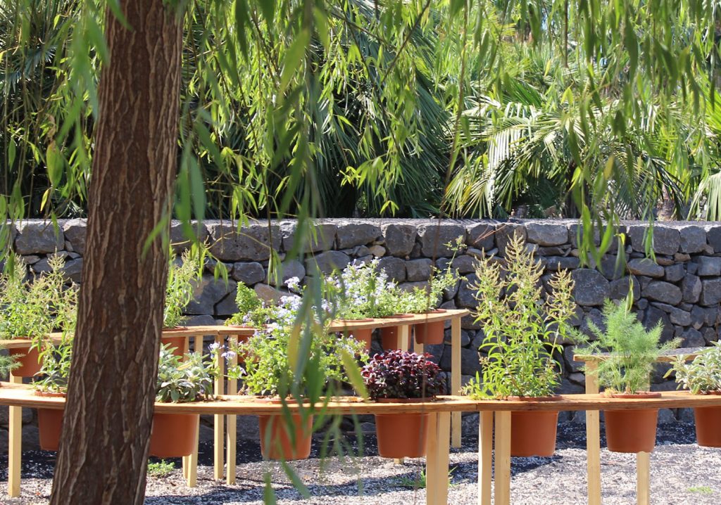 Sensory landscapes - Revista Landuum