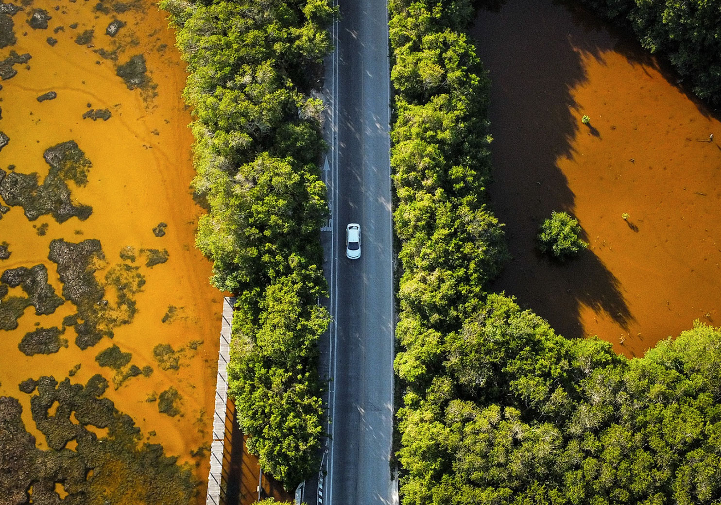 Human Beings and Landscape - Revista Landuum