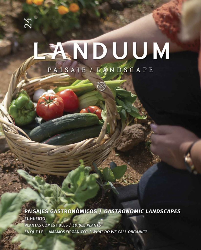 Efecto social de los espacios recreativos en las ciudades - Revista Landuum