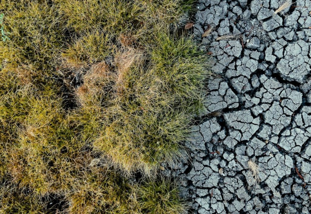 Soil and Landscape: the skin of the earth - Revista Landuum