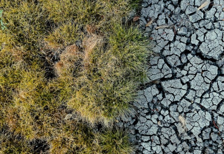 Soil and Landscape: the skin of the earth - Revista Landuum
