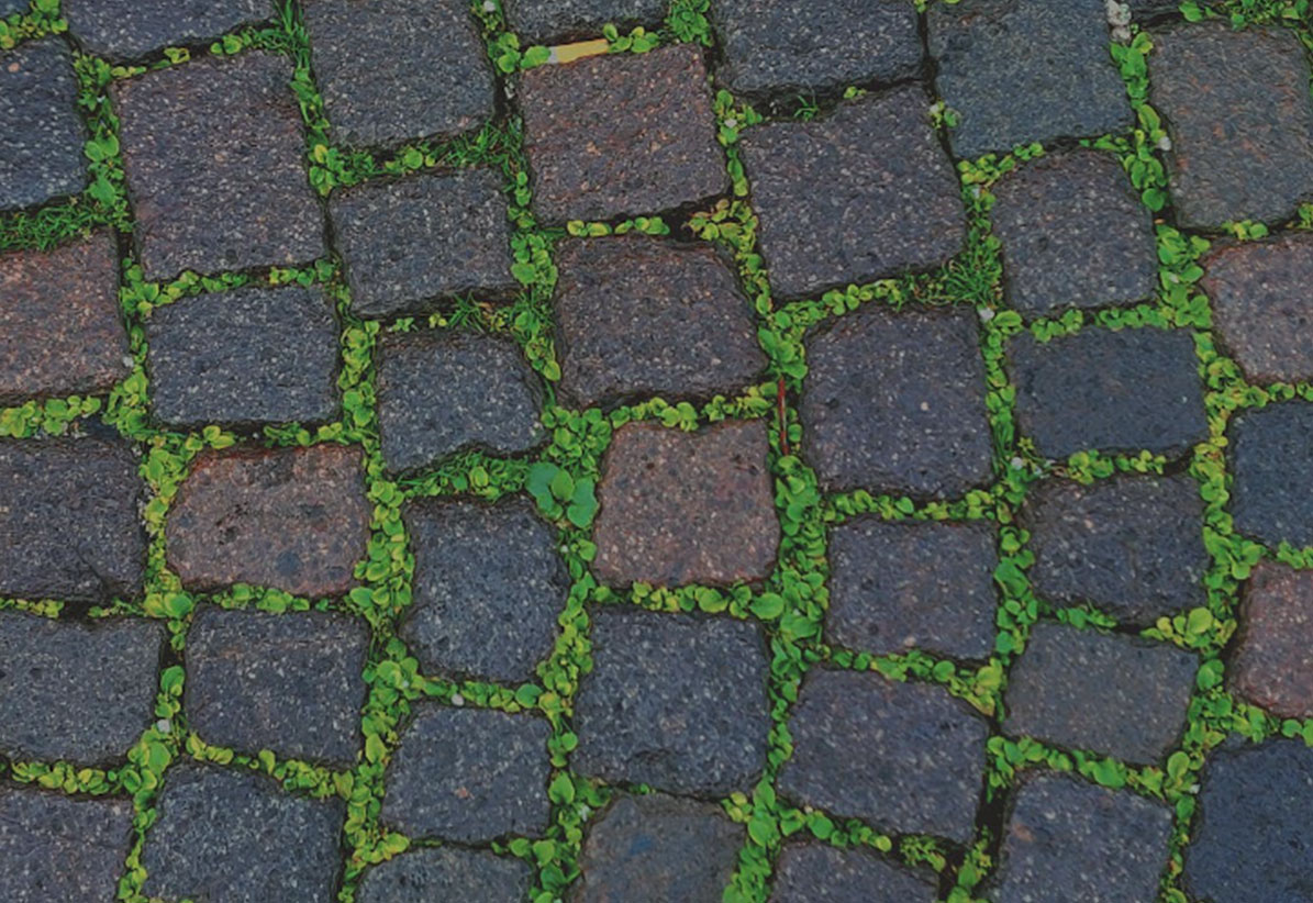 Floors permeabilization: a challenge of sustainable design - Revista ...