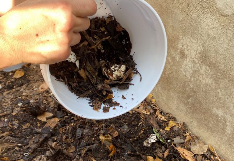 Lombricomposta en casa: Regresemos a la tierra lo que le pertenece ...