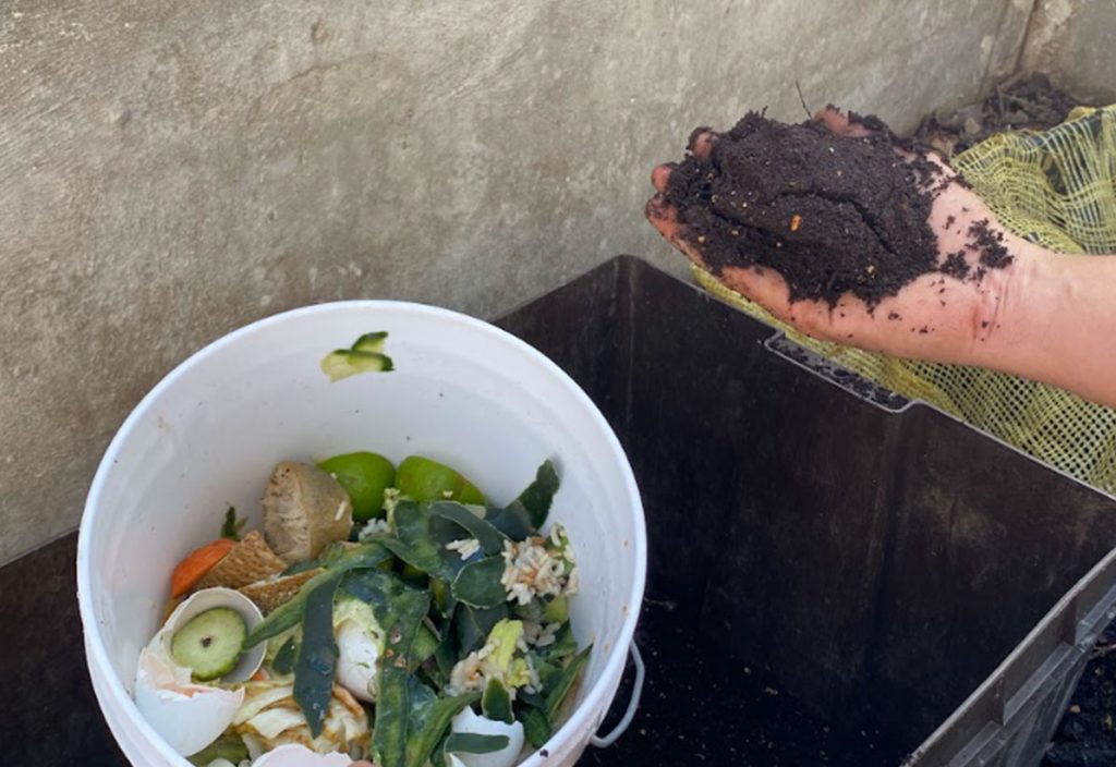 Lombricomposta en casa: Regresemos a la tierra lo que le pertenece ...
