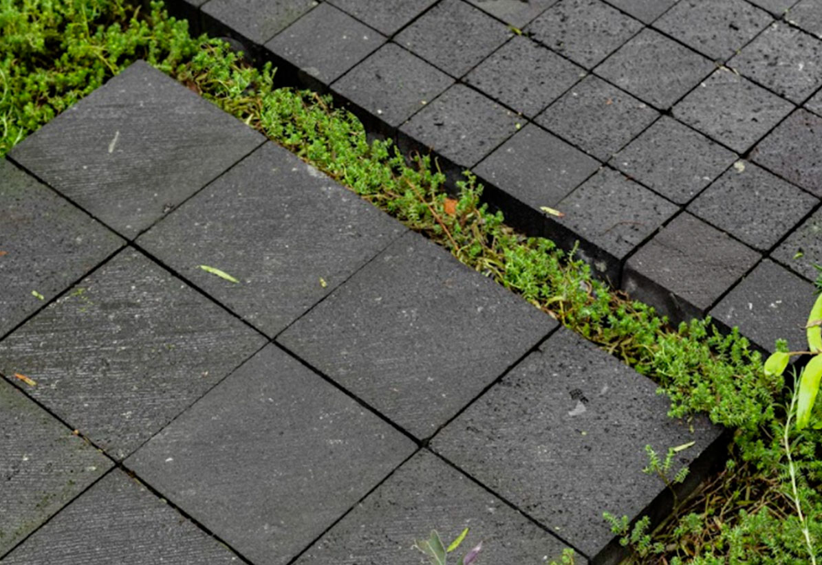 Pedregal ́s Lava Garden - Revista Landuum