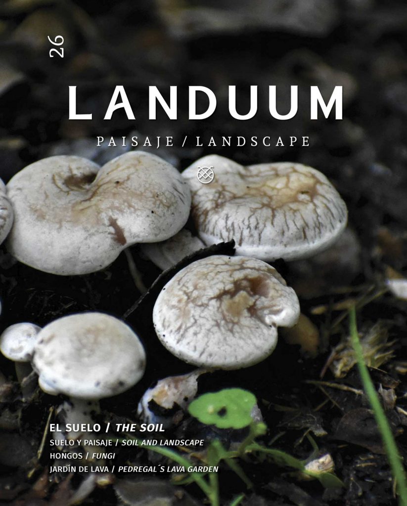 Efecto social de los espacios recreativos en las ciudades - Revista Landuum