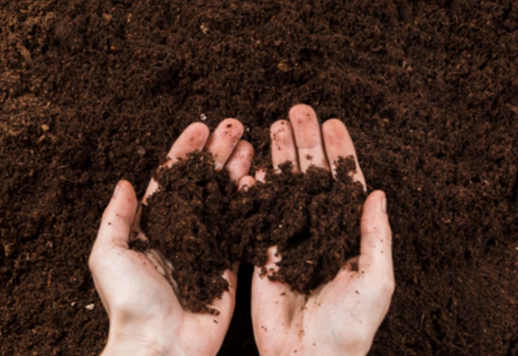How can we improve and protect our soil - Revista Landuum