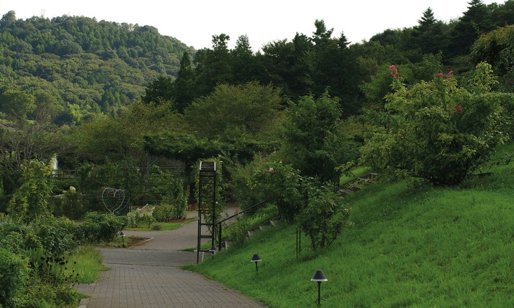 Criterios de diseño para un proyecto paisajístico en la montaña ...