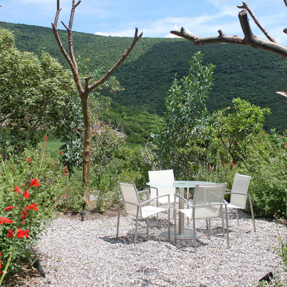 Efecto social de los espacios recreativos en las ciudades - Revista Landuum