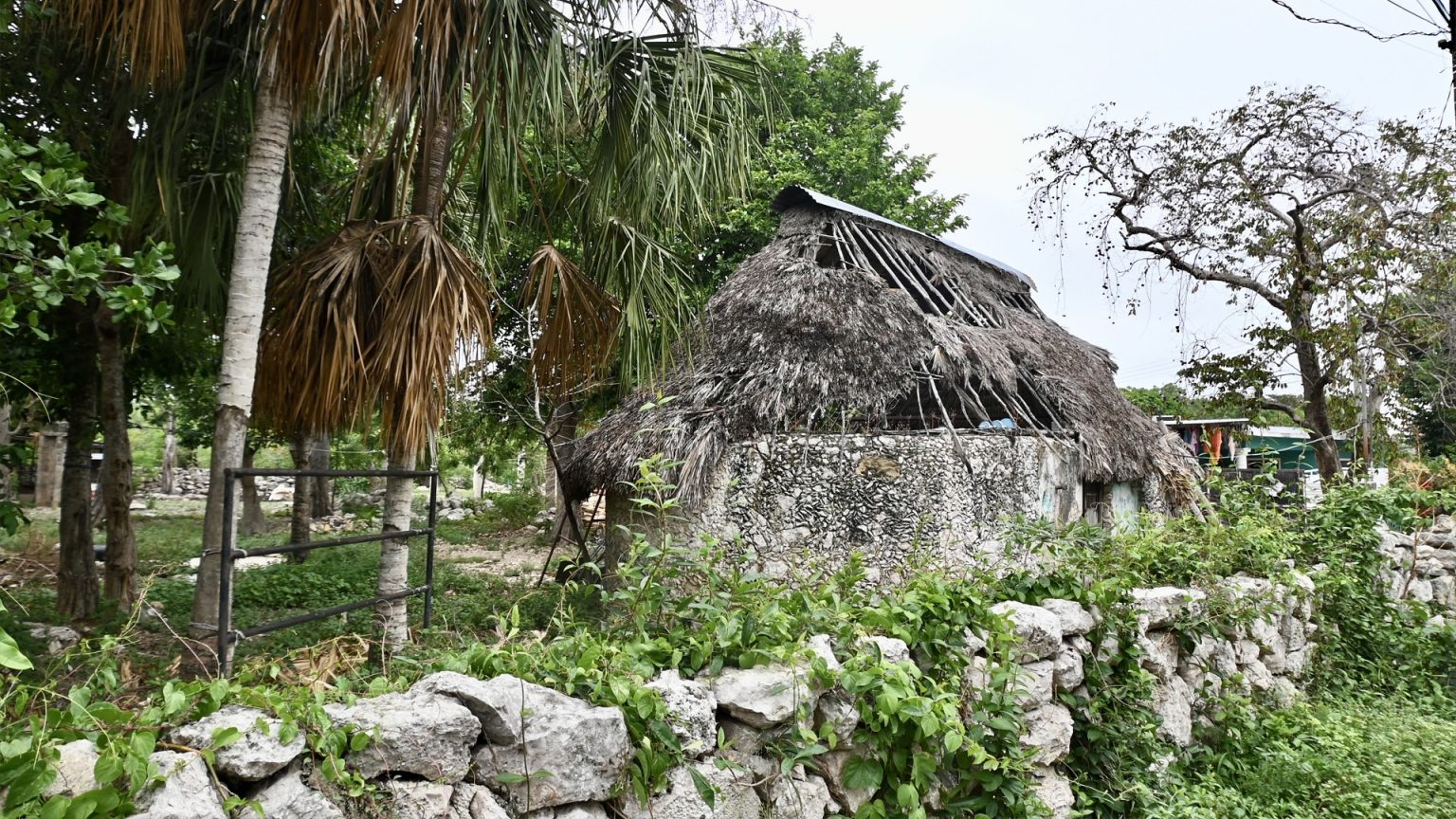 Haciendo el Paisaje Urbano de Mérida Viable - Revista Landuum