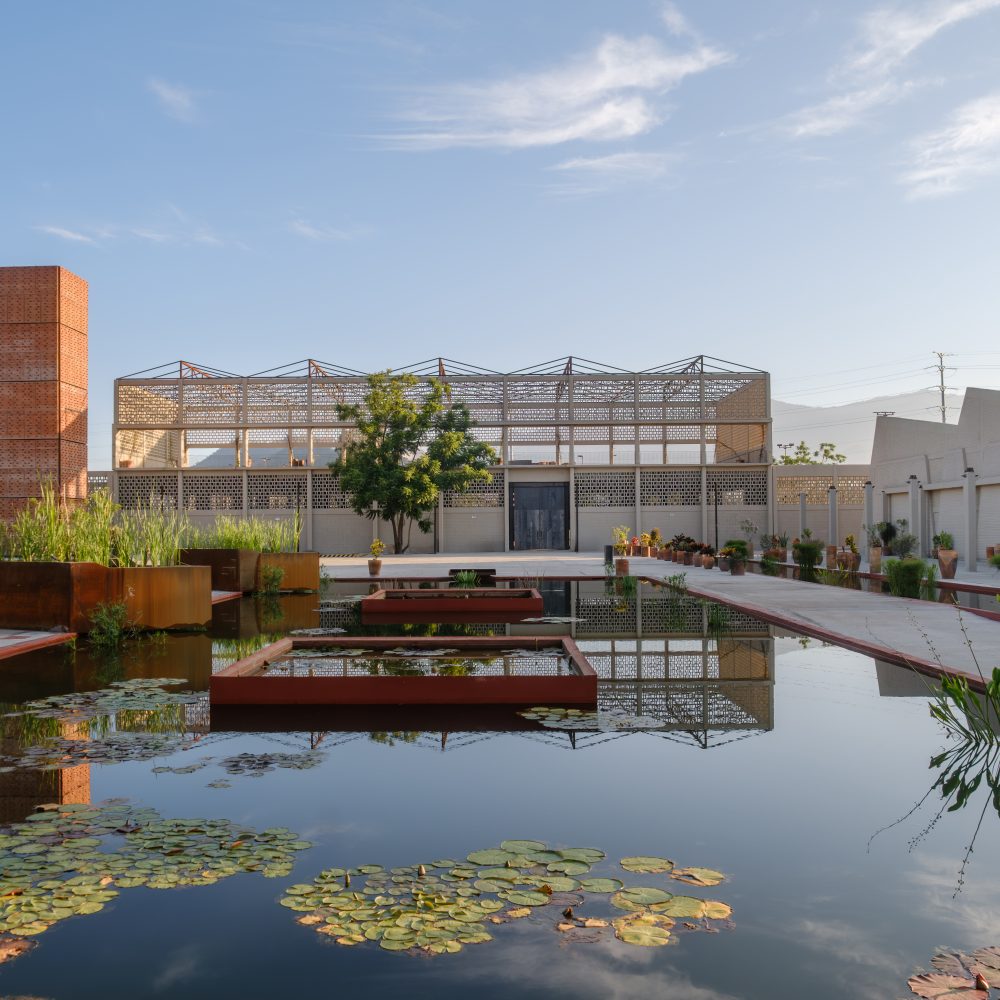 Mamíferos dispersores de semillas - Revista Landuum