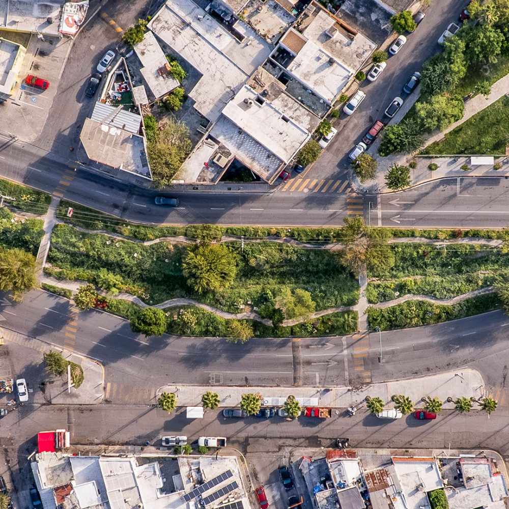 Mamíferos dispersores de semillas - Revista Landuum