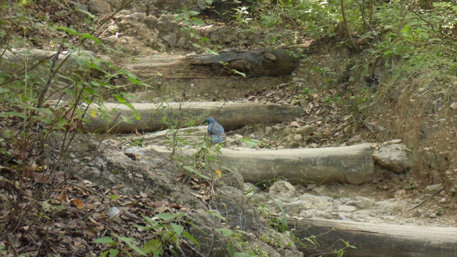 Recorrido por Chipinque - Revista Landuum